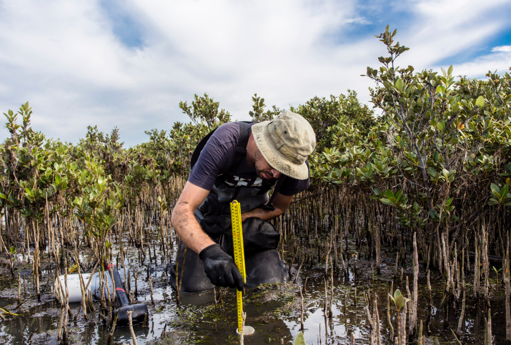 Measurement, Monitoring and Verification (MMV) – Quick Train Canada